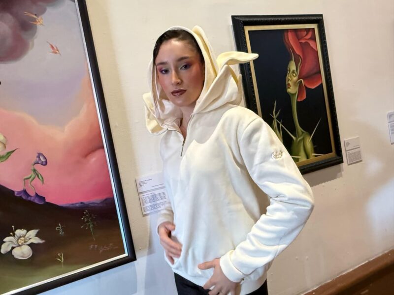 Carolina Pavia Fusiona Arte y Diseño Textil con el Lanzamiento de "Rosa ...